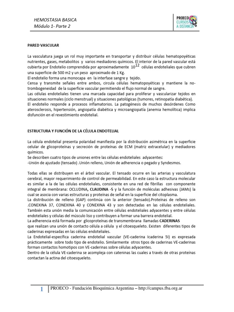 Hemostasia Basica - Modulo 1 - Parte 2 | PDF | Coagulación | Endotelio