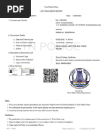 Lost Document Report Process Guide | PDF | Finance & Money Management