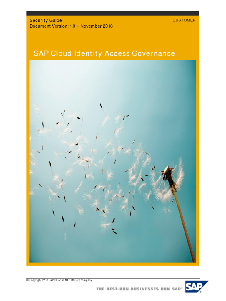 SAP Cloud IAG - Security Guide | PDF | Cloud Computing | Software Engineering