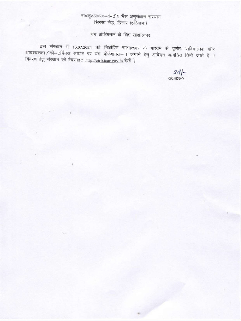 CIRB Young Professionals 2024 | PDF