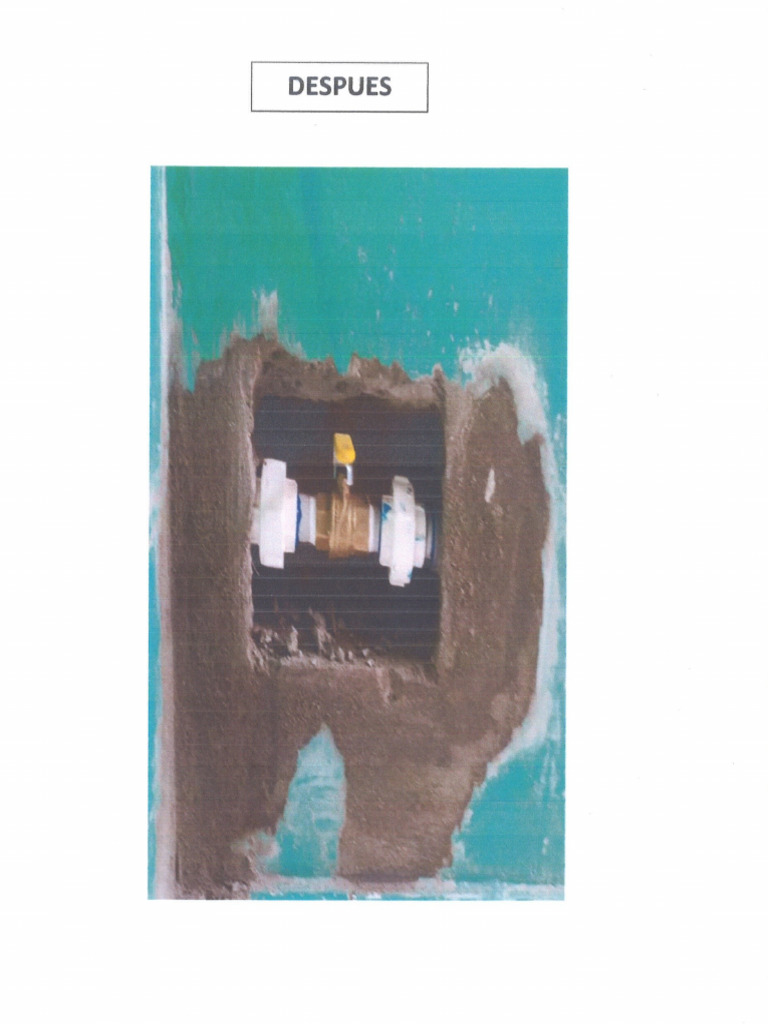 Llavez de Pazo 2 Despues | PDF