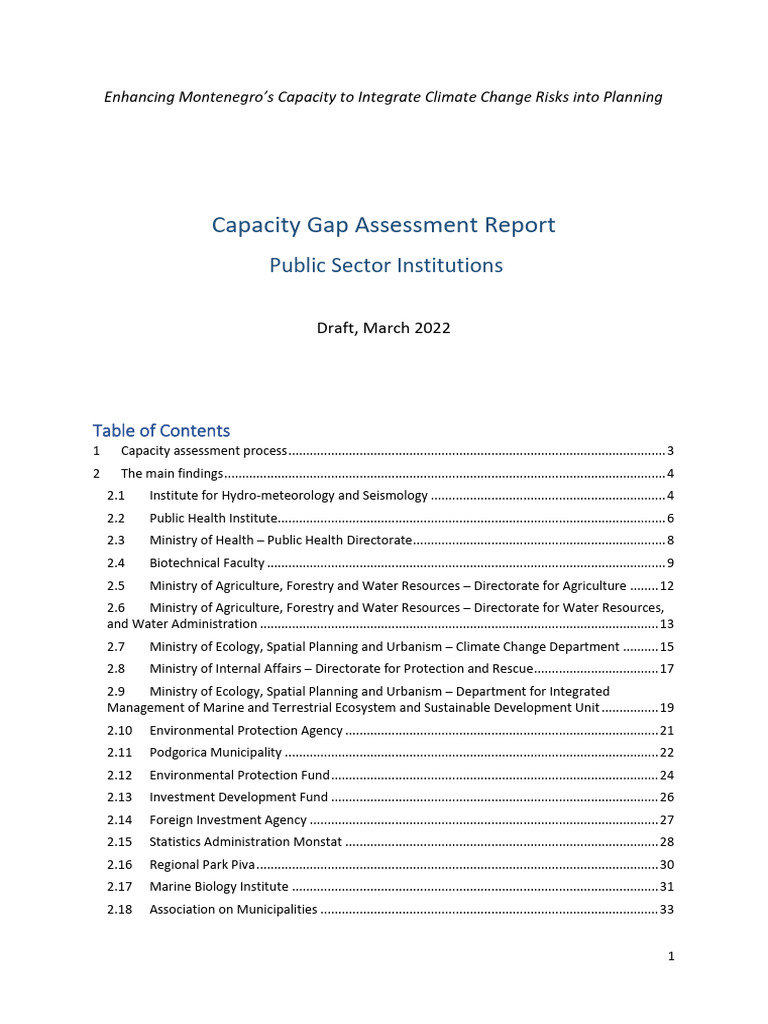 First Draft - Capacity Assessment Report MNE Institut - M.Marković ...