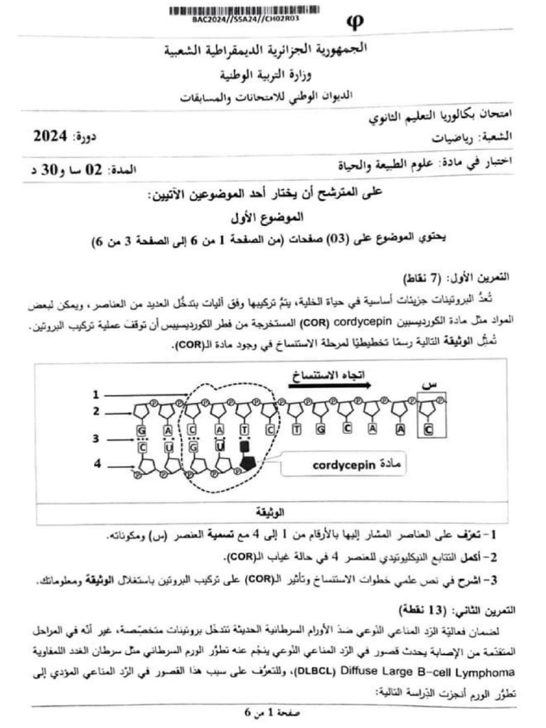 Bac Math Sciences 2024 | PDF