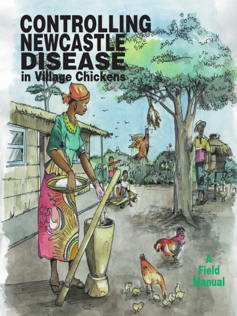 Newcastle Disease Control in Chickens | PDF | Vaccines | Virus