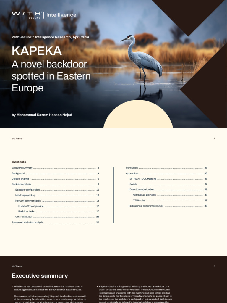 WithSecure Research Kapeka | PDF | Windows Registry | Parameter (Computer Programming)