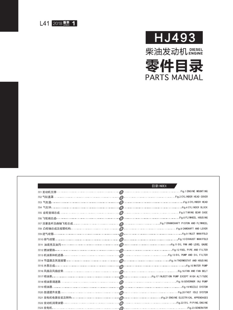 7.L41-1-2018 CHL Patolada | PDF