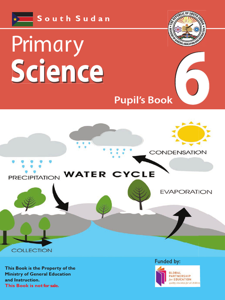 Primary Science 6 PB Textbook | PDF | Leaf | Foods