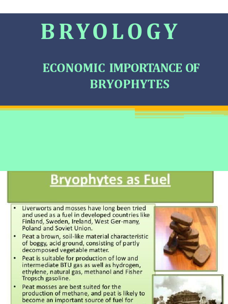 Importance of Bryiophytes | PDF | Peat | Moss Importance of Bryiophytes | PDF | Peat | Moss
