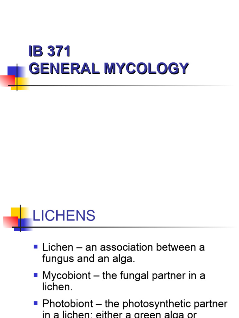 Importance of Lichens | PDF | Organisms | Eukaryotes