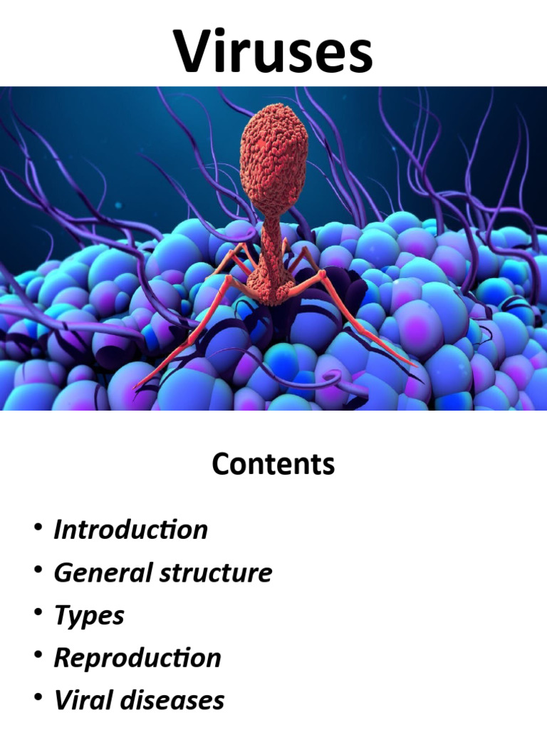 Viruses | PDF | Virus | Bacteriophage