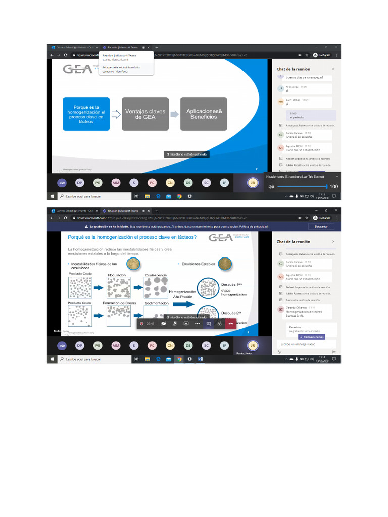 Gea - Homogenizadores | PDF
