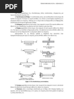 Γενικά Για Την Κόπωση | PDF