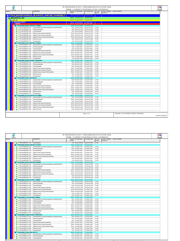 P1TA18-TESSB EXECUTION SCHEDULE (TA DEFECT) PAINTING LEVEL 5 -13062024 ...