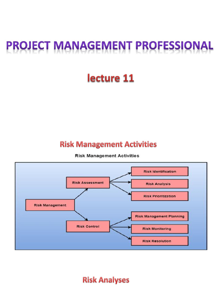 lecture 11 ss | Download Free PDF | Risk | Software Development Process