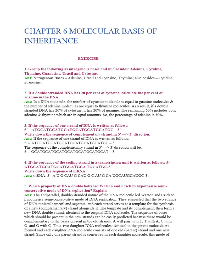 Chapter 6 Molecular Basis of Inheritance | PDF | Dna | Nucleic Acid ...