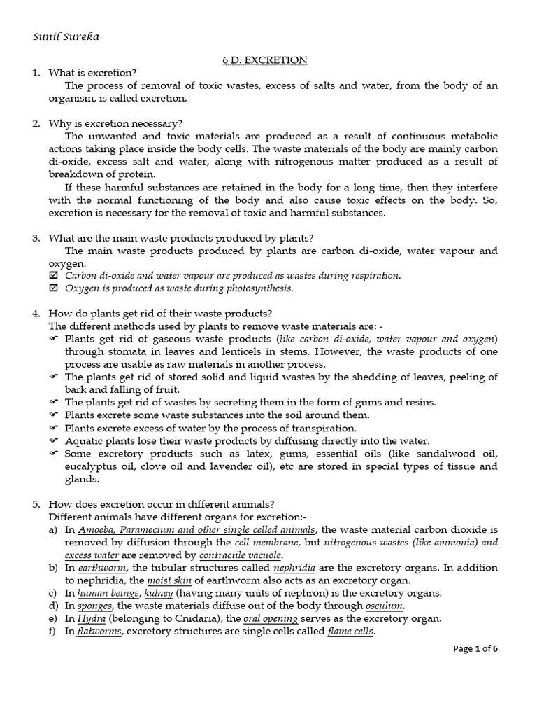 6D. Life Processes (Excretion) | PDF | Kidney | Excretion