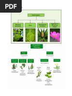 DLL Matatag - Science 5 Q2 W4 | PDF | Seed | Flowers