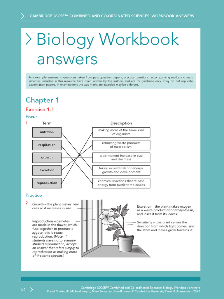 Igcse Ccs 2ed TR Workbook Bio Answers | PDF | Leaf | Stoma