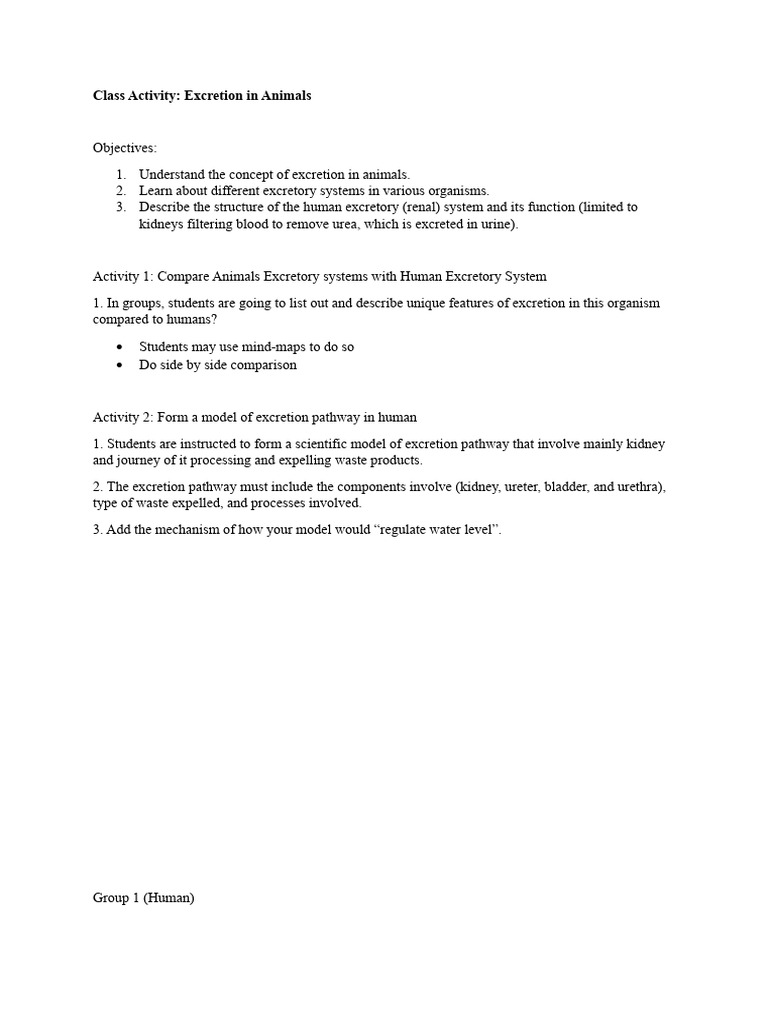 Class Activity 2 (Excretion and Excretory System) | PDF