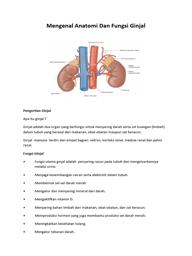 Pengetahuan Pendonor Ginjal | PDF | Pengembangan Diri | Kesehatan Holistik