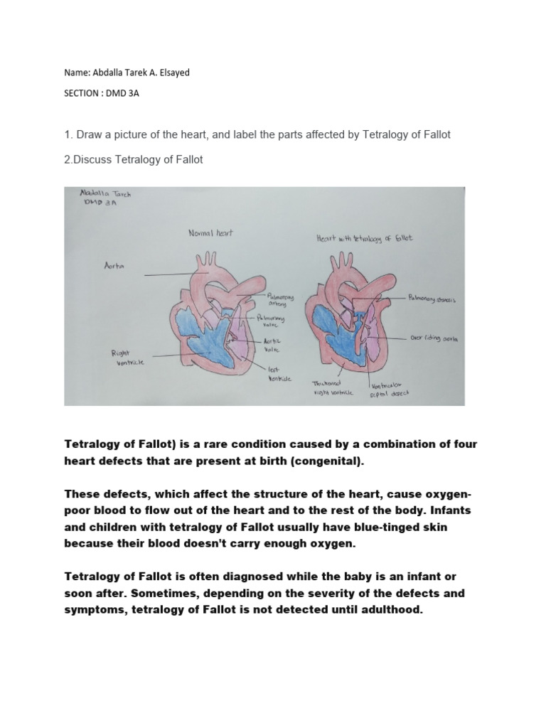 GenPath Lab Quiz 9 | PDF
