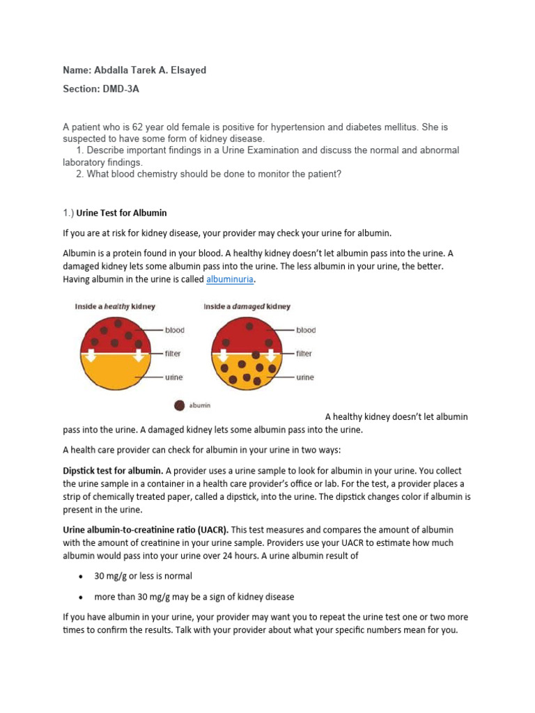GenPath Lab Activity 15 | PDF | Creatinine | Kidney