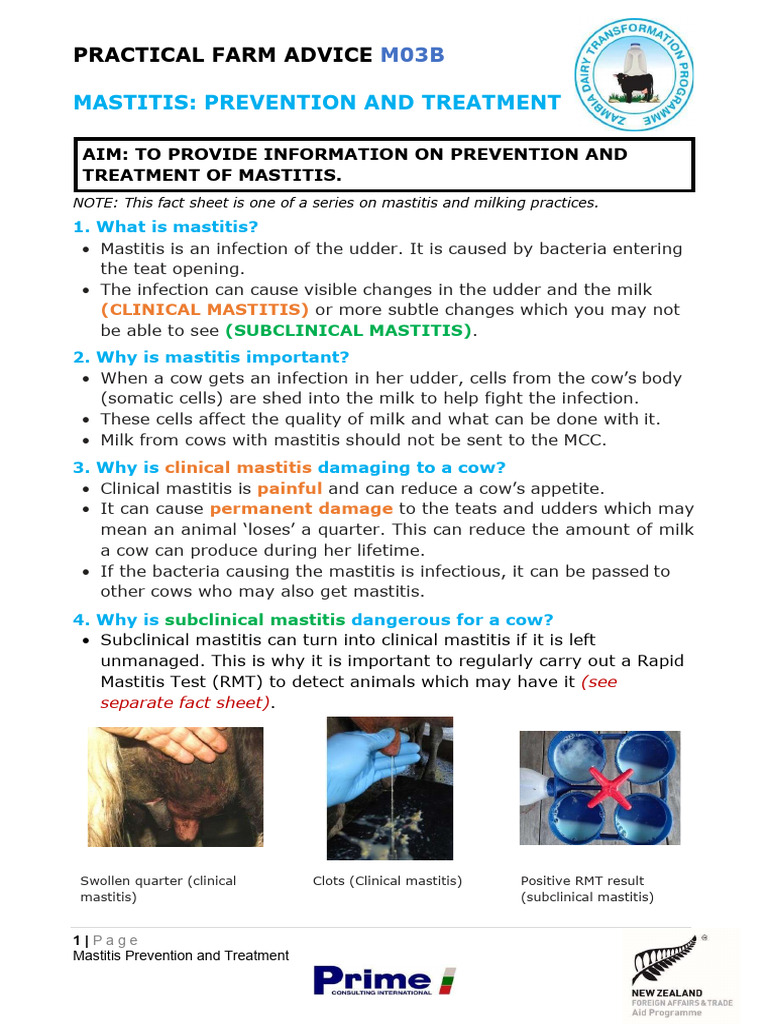 M03B - Mastitis - Prevention and Treatment | PDF | Mammals | Medicine