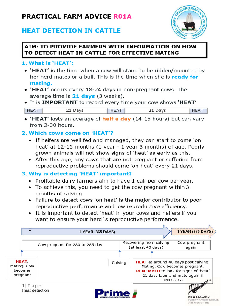 Methods Of Heat Detection In Cattle at Audrey Richard blog
