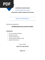 ¿Qué es el Dextrostix y su uso? | PDF
