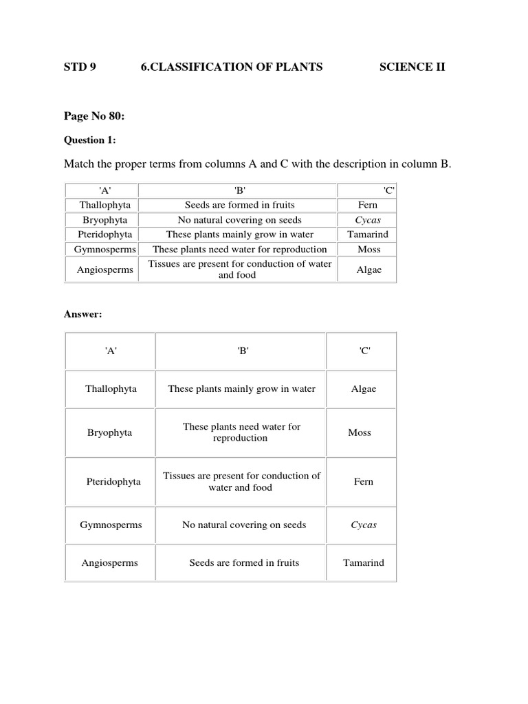 Classification of Plants for Class 9 | PDF | Plants | Leaf