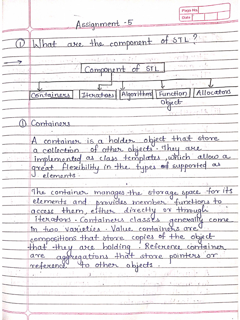 C++ 5th Assignment | PDF