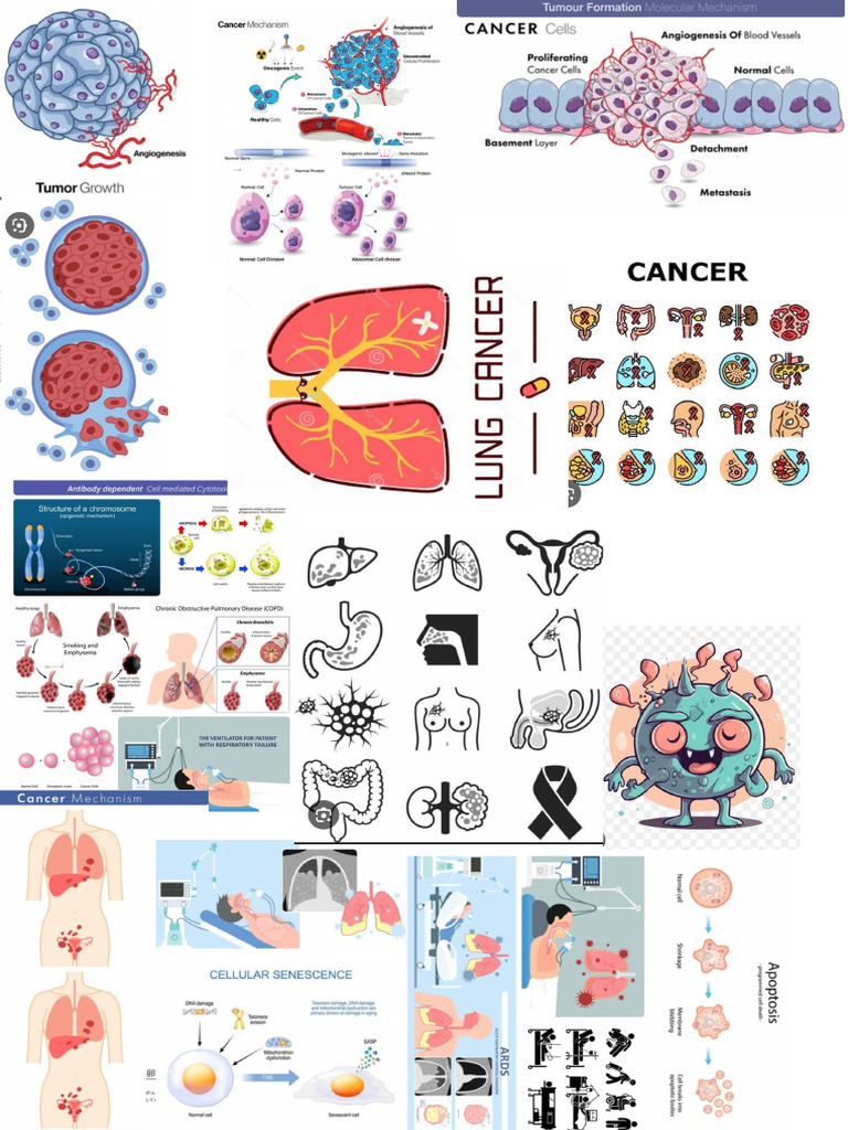 Cancer | PDF