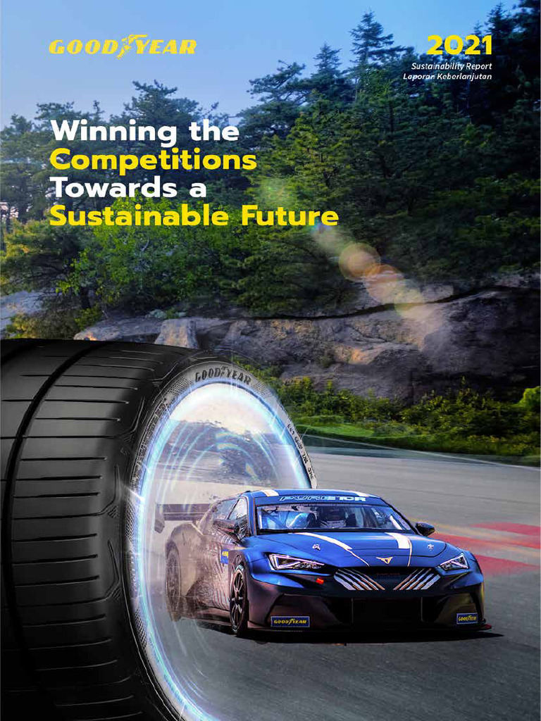 2021 Sustainability Report Pdf