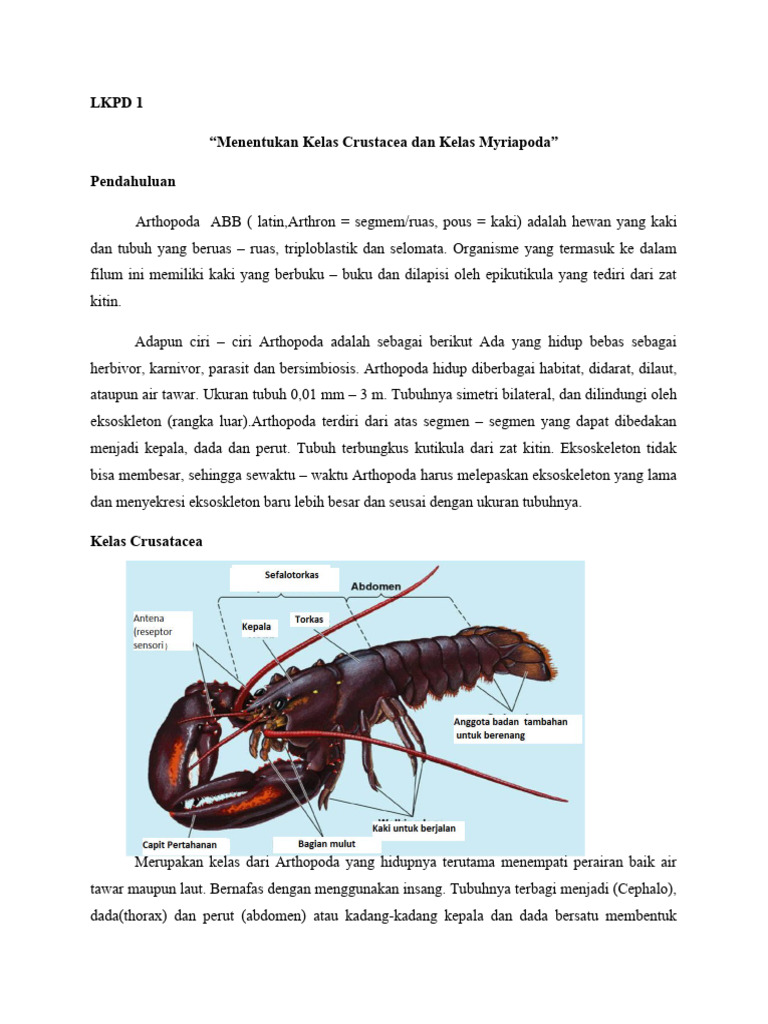 Struktur Tubuh Crustacea dan Myriapoda | PDF