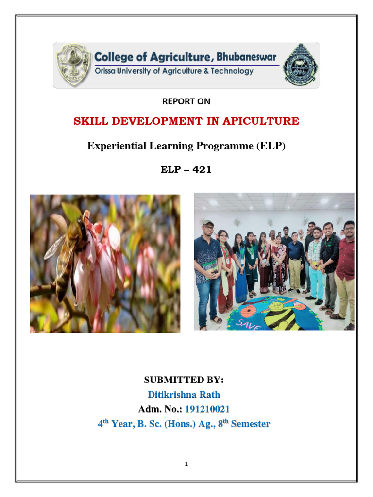 Elp Final Report Apiculture Diti | PDF | Honey Bee | Beehive