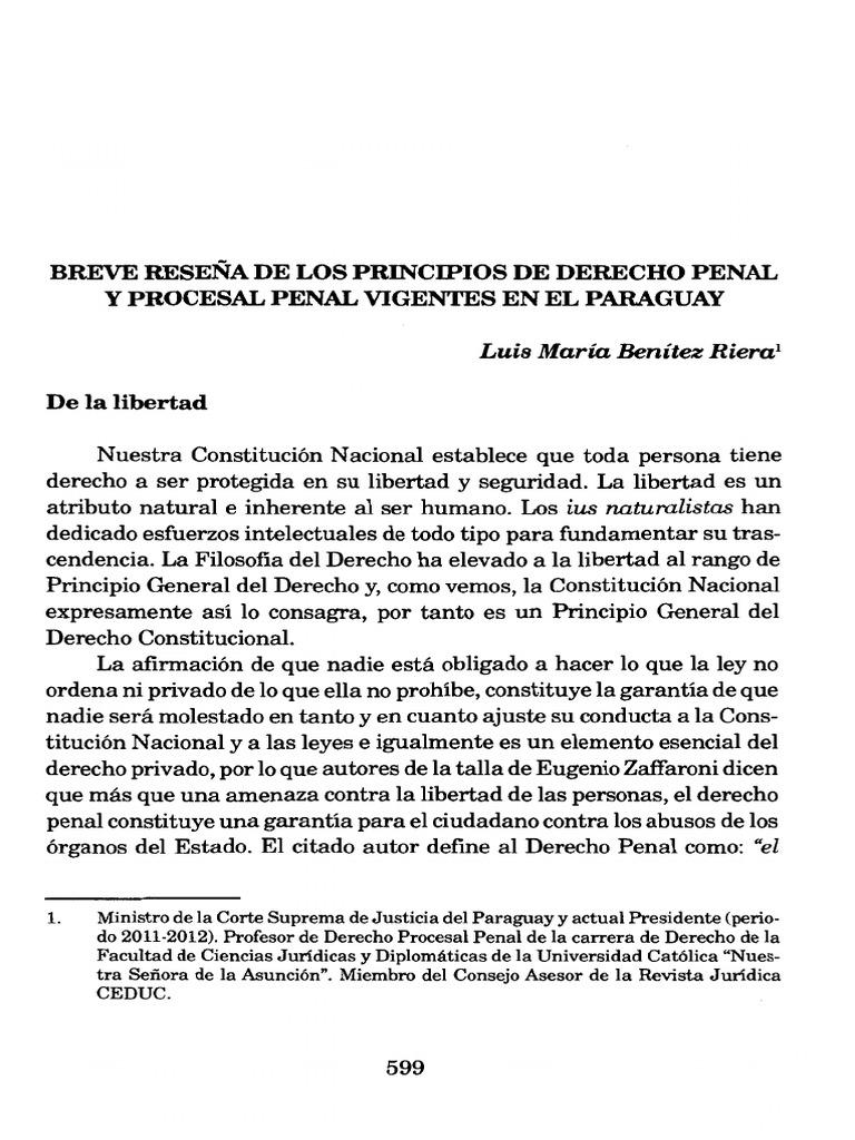 Luis María Benitez Riera Breve Reseña | PDF