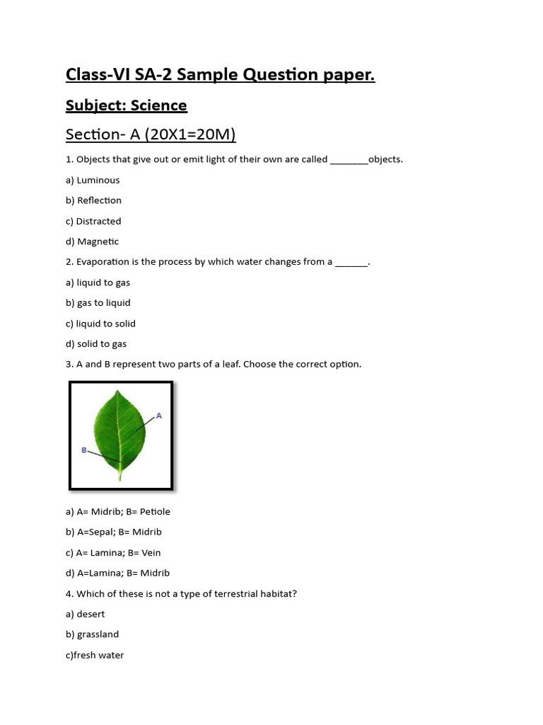 6th Standard Science Question Paper | PDF | Leaf | Electricity