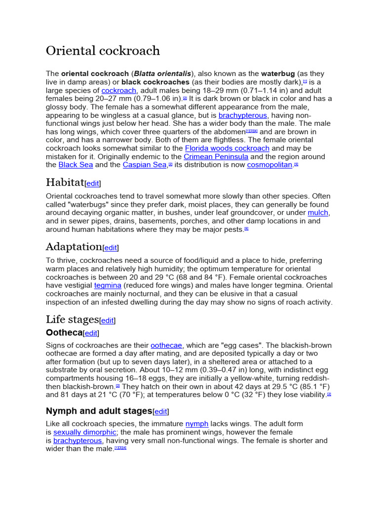 3 - Oriental Cockroach | PDF | Insects | Insect Orders