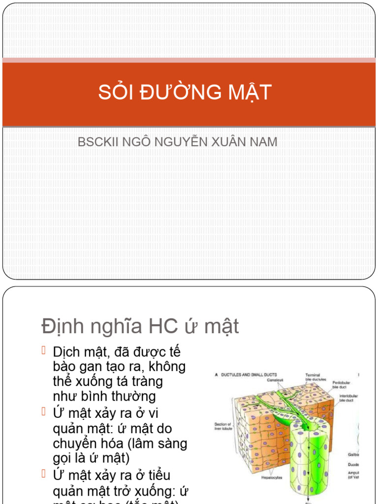 3.HC Tac Mat | PDF