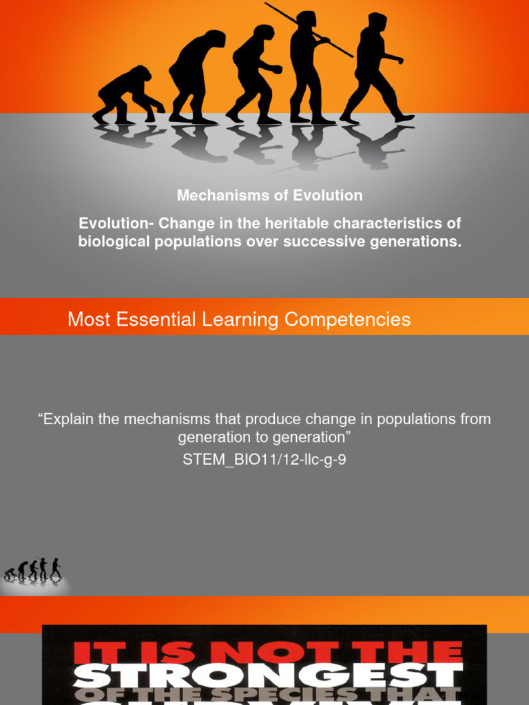 Mech of Evol | PDF | Natural Selection | Evolution