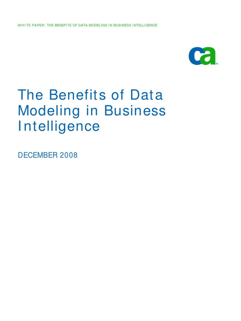 The Benefits of Data Modeling in Business Intelligence: December 2008 ...