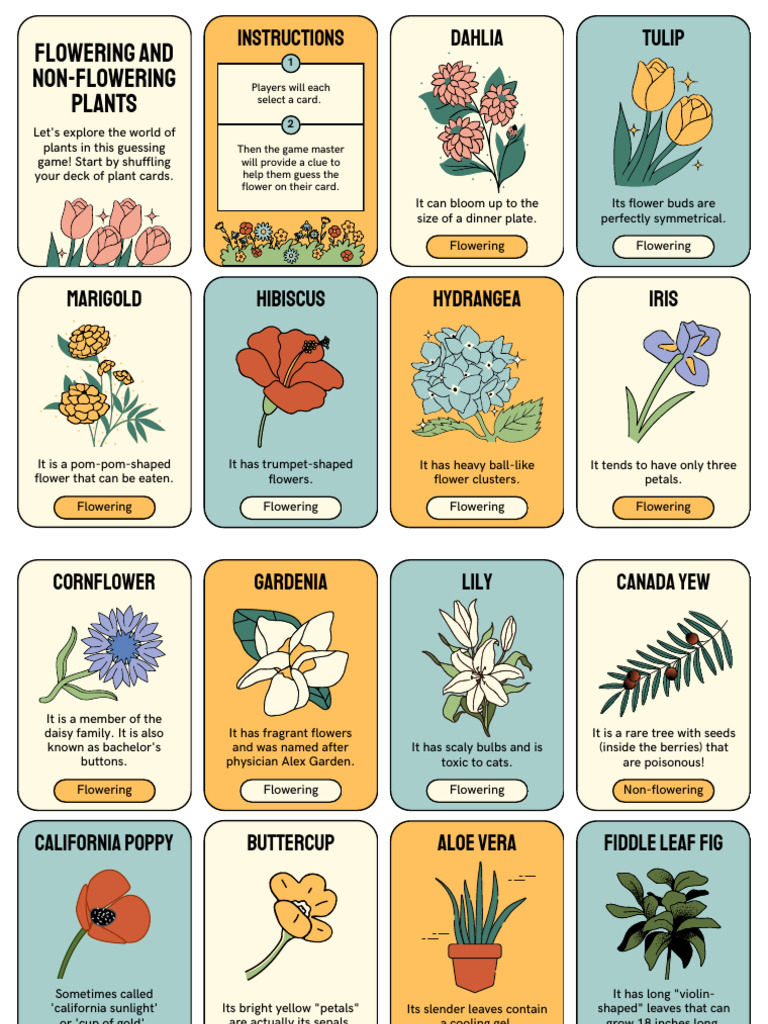 Flowering and Non-Flowering Plants Flashcard in Blue Yellow Simple ...