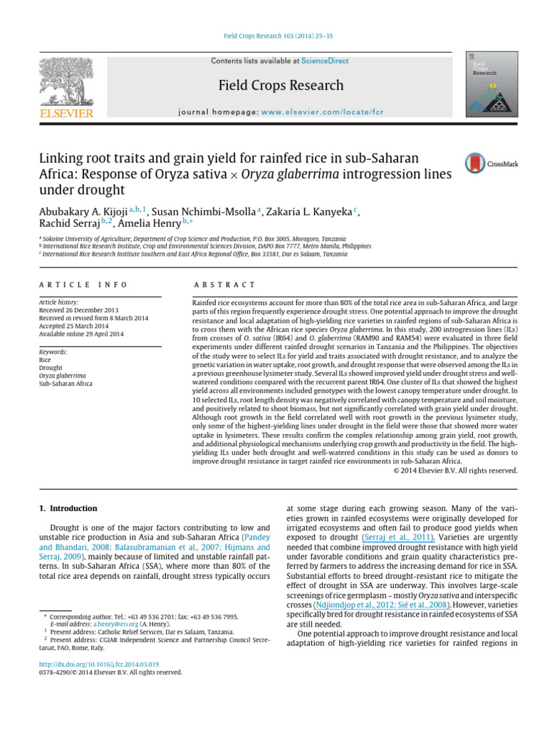 Linking Root Traits and Grain Yield For Kijoji Et Al 2014 | PDF | Rice | Drought