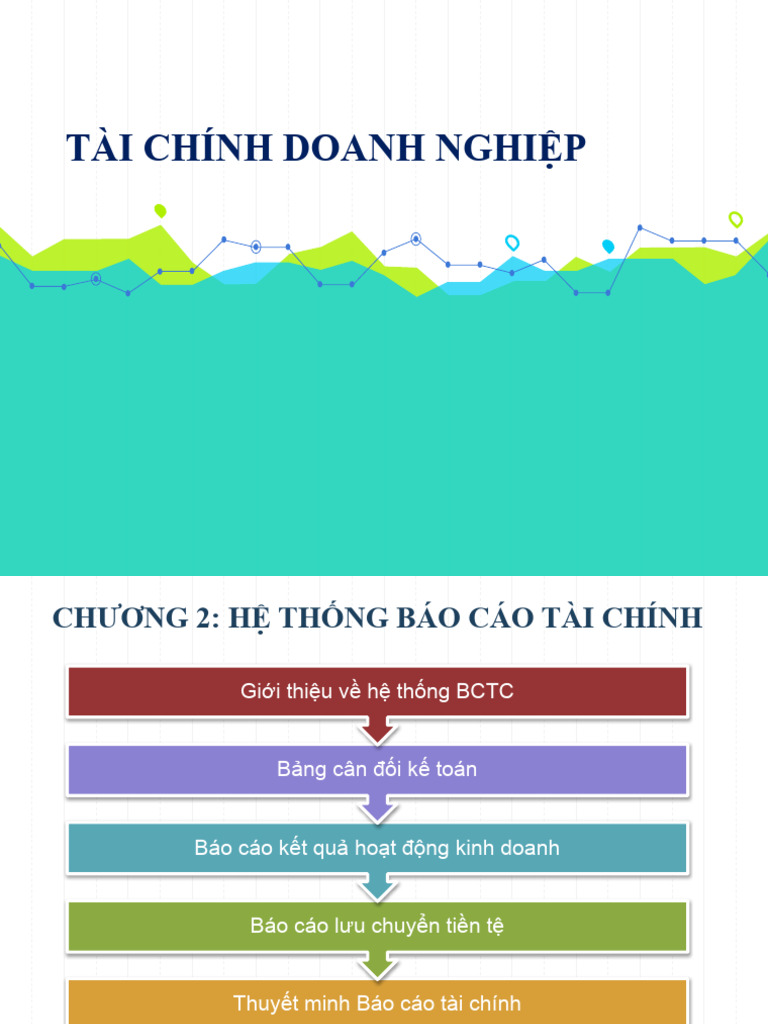 Gioi Thieu BCTC | PDF