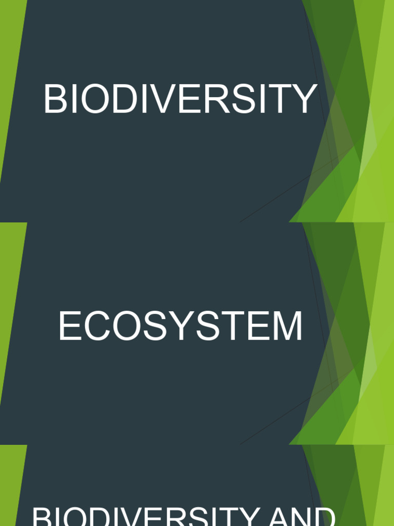 STS Lesson 7.1 Biodiversity | PDF