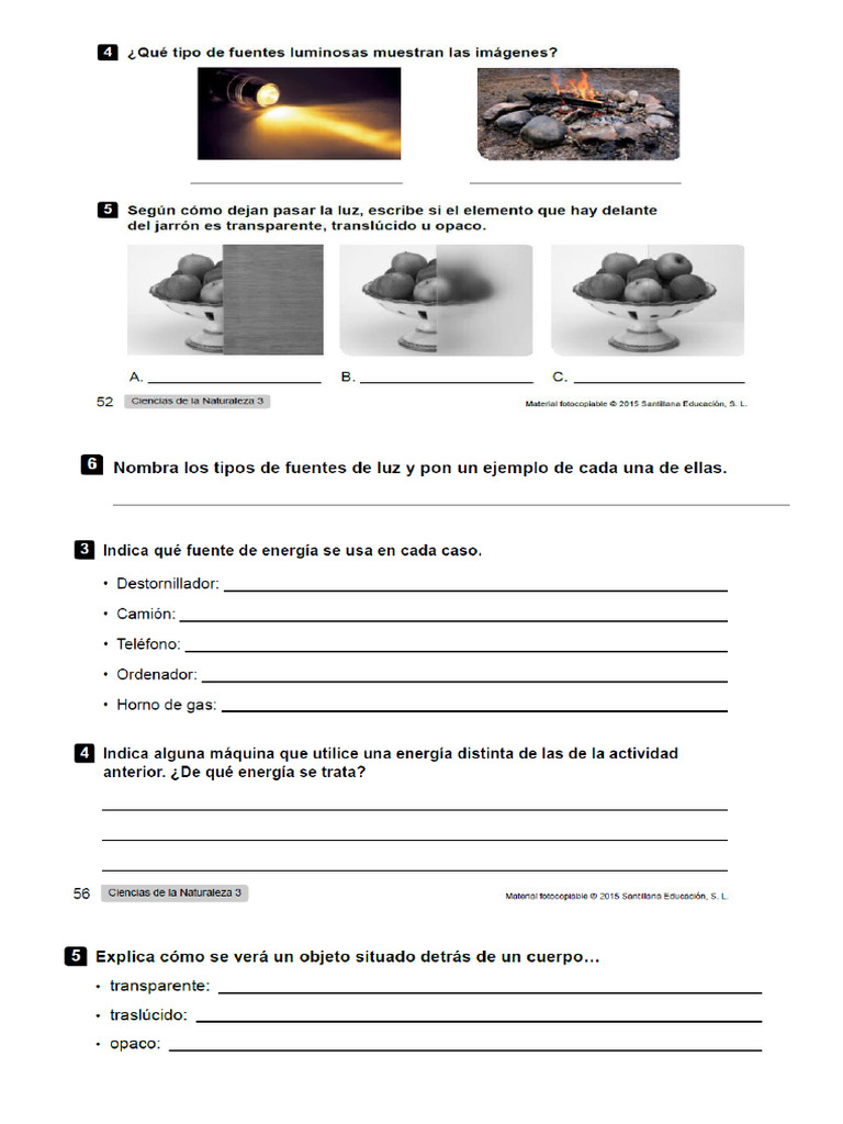 Tema 5 Naturales | PDF