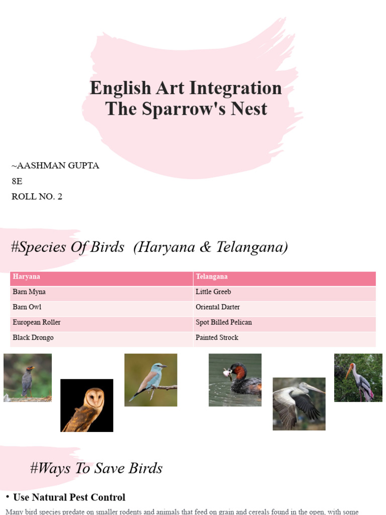 AashmanGupta 8E 2 English Art Integration | PDF | Pest Control | Birds