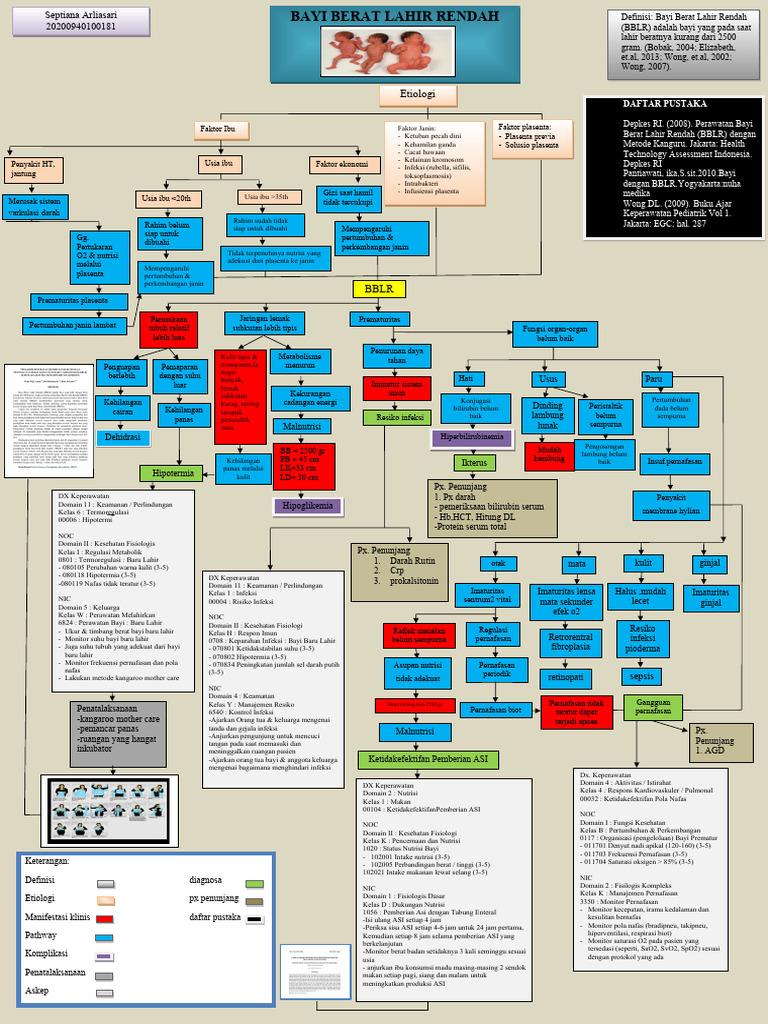 Woc BBLR | PDF