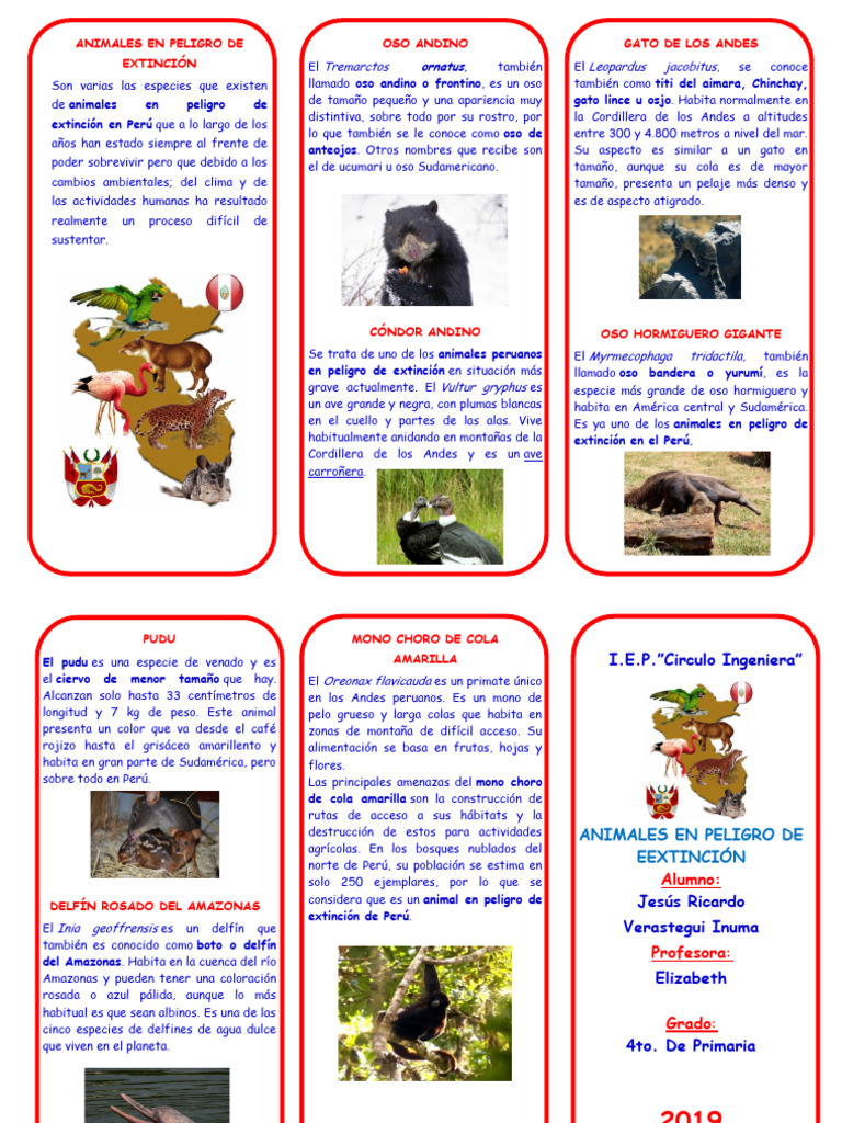 Animales en Peligro de Extinción | PDF | Osos