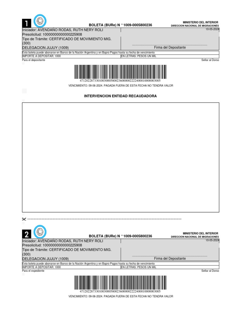 Boleta de Certificado Migratorio Jujuy | PDF | Argentina | Bancario